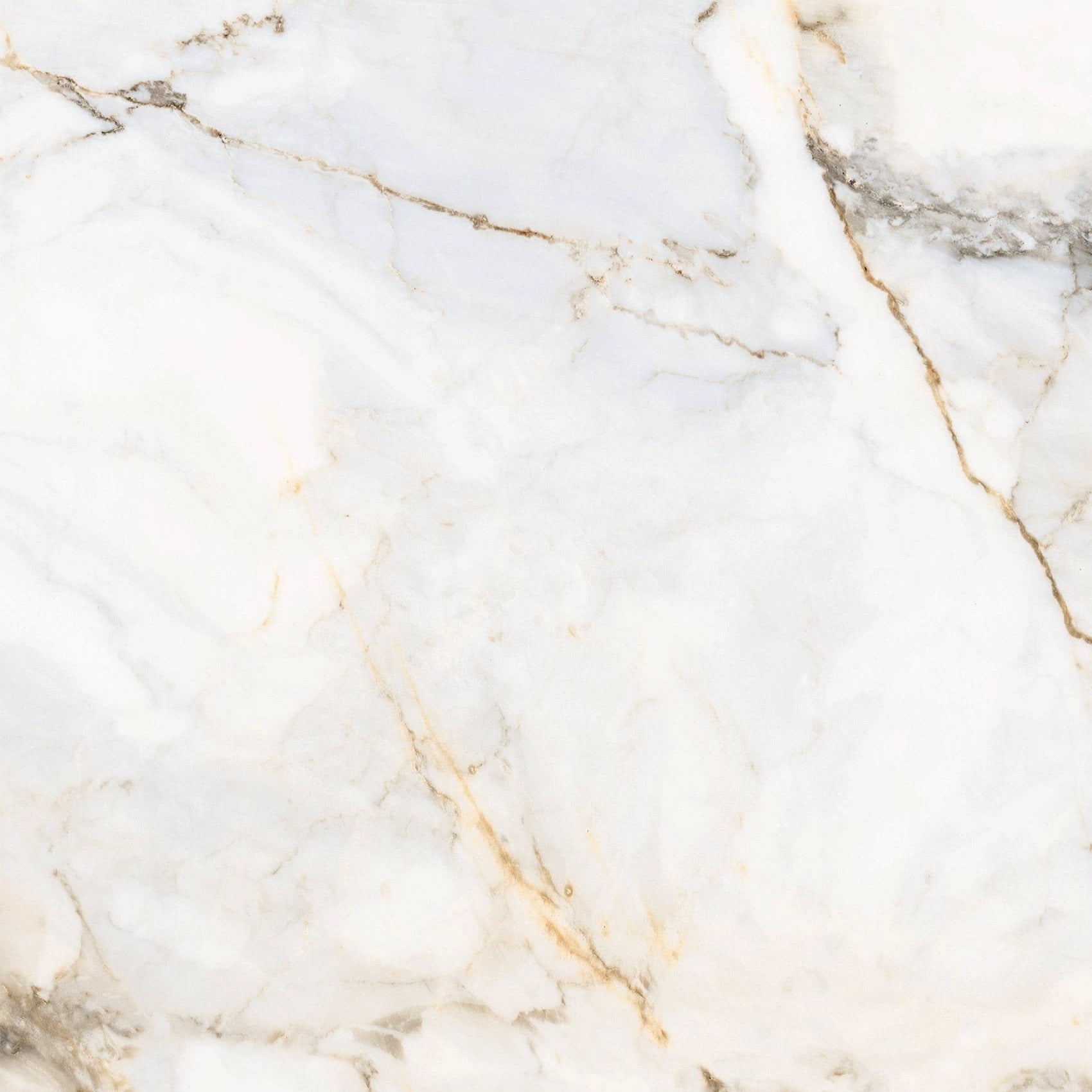 Calacatta Gold Porcelain Tile with Marble Effect, 59x119 cm